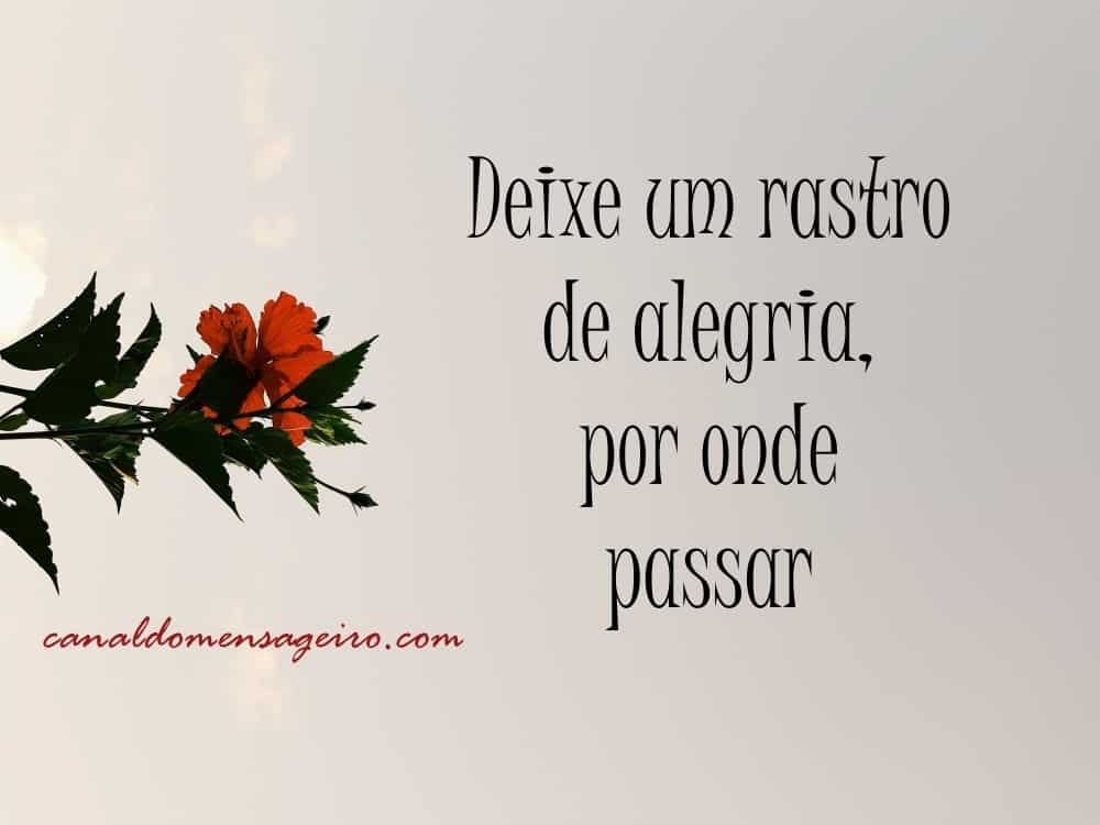 Frases Alegres para Acalmar o Coração - Canal do Mensageiro